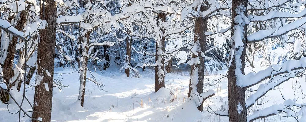Winter Glamping in the Poconos | Cozy Cabins & What to Expect